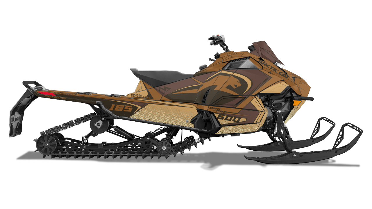 Catalytic - Arctic Cat Catalyst